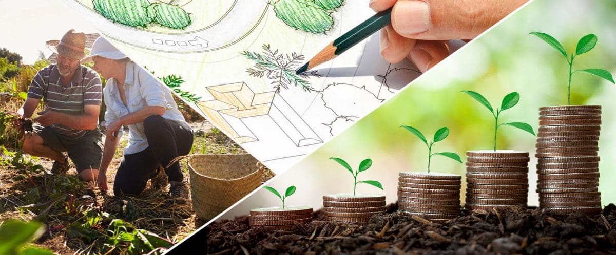 12 Smart Ways To Garden On A Budget | Hozelock Ltd 12 Smart Ways To Garden On A Budget | Hozelock Ltd